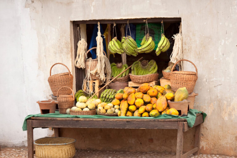 Madagascar - Kids Food Atlas